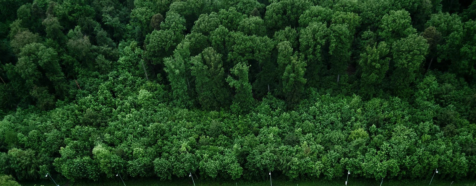 Smart Energy Solutions and Innovations