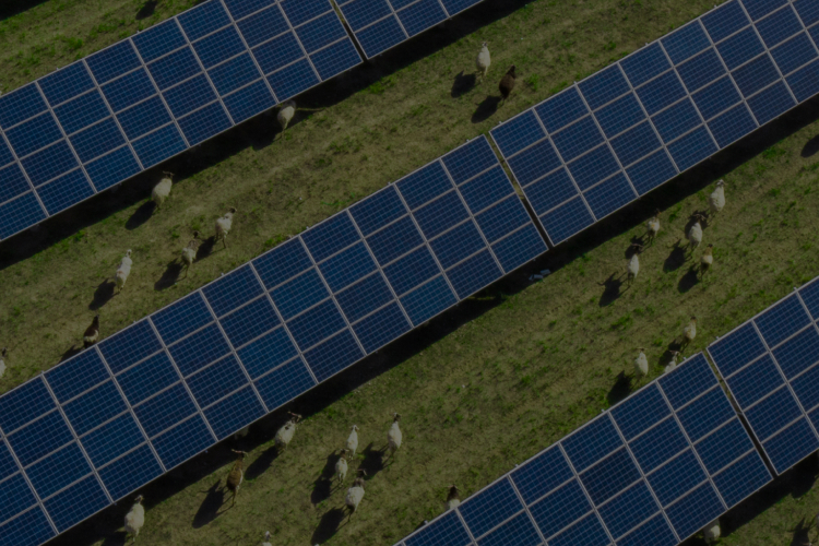 Micro-Grid Solutions Solution | Distribution Grid